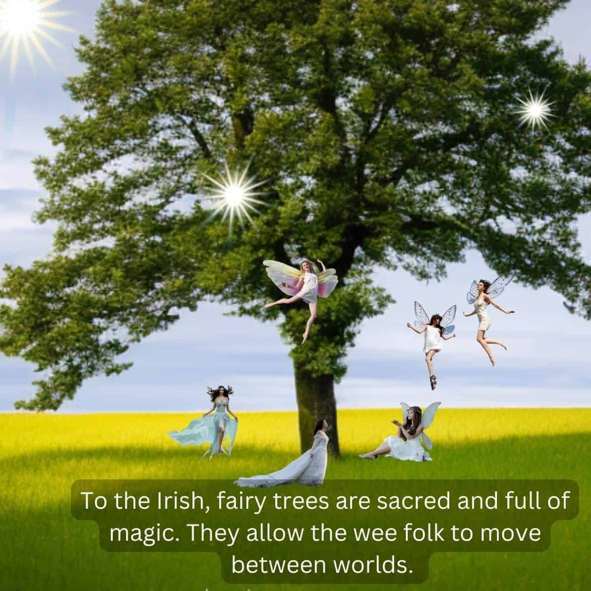 The Ancient Myth and Magic of Irish Fairy Trees